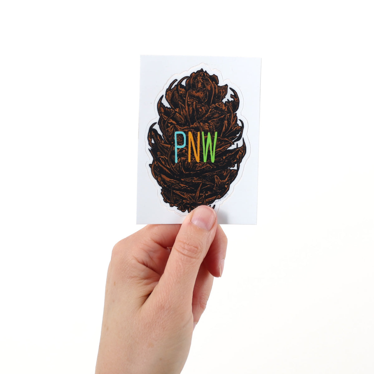 PNW Pinecone Sticker – Slow Loris