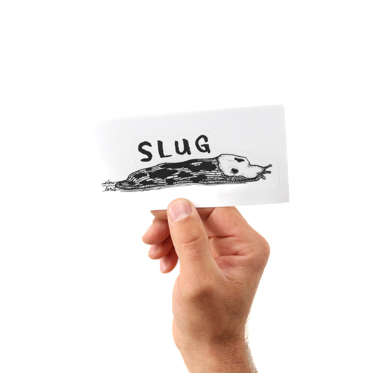 Slug Sticker – Slow Loris