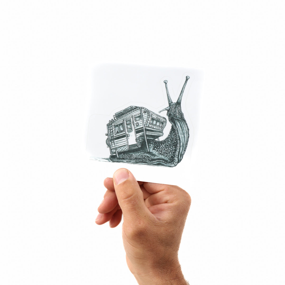 Snailer Sticker – Slow Loris