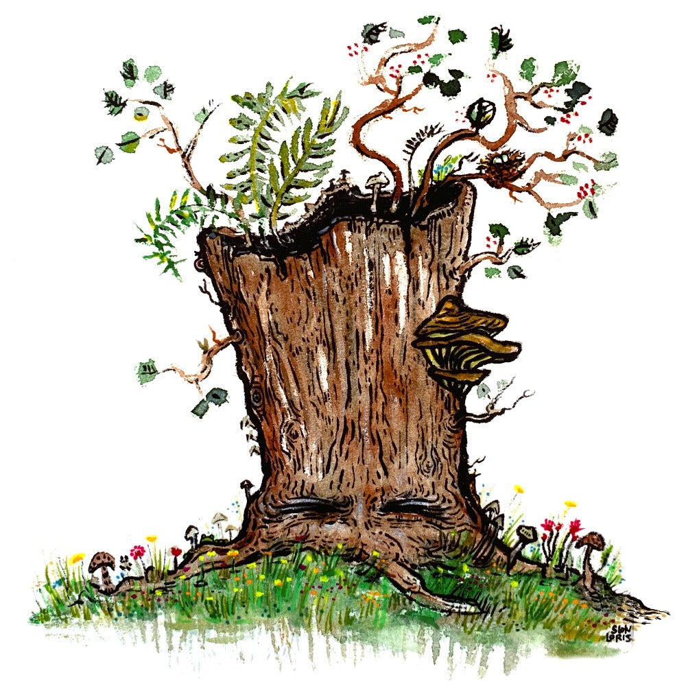 Nurse Log Art Print – Slow Loris