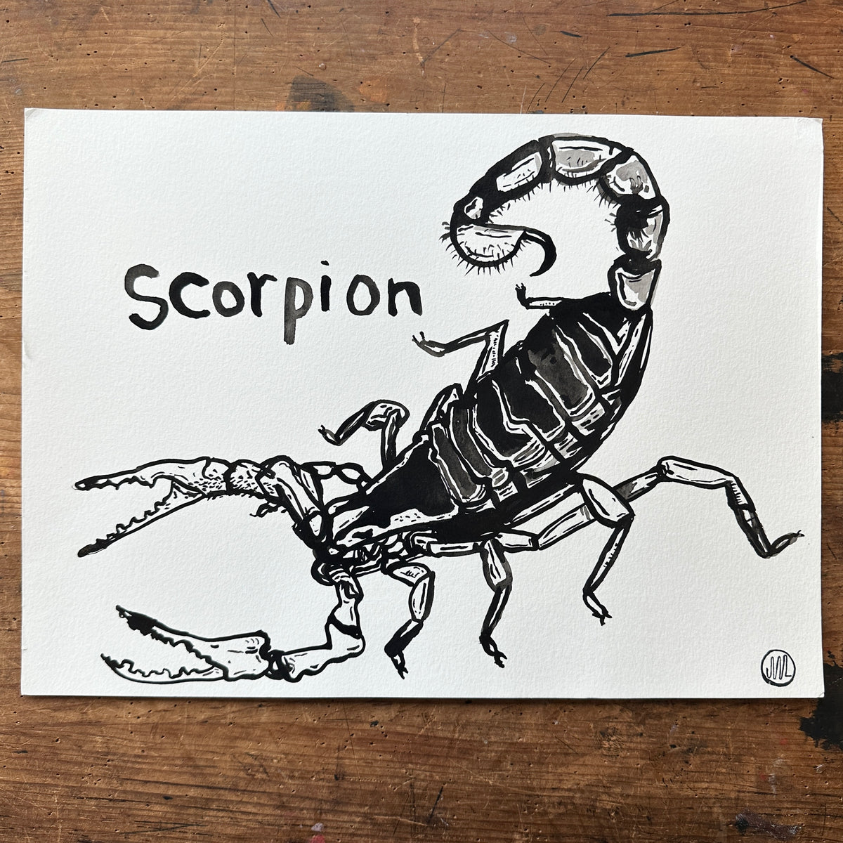 Scorpion ink drawing – Slow Loris